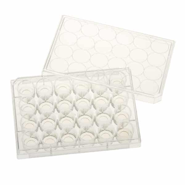 Buy 24 Well Tissue Culture Plate with Lid, 10mm Glass Bottom ...