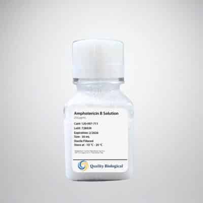 Buy Amphotericin B Solution (250 µg/mL) – Quality Biological