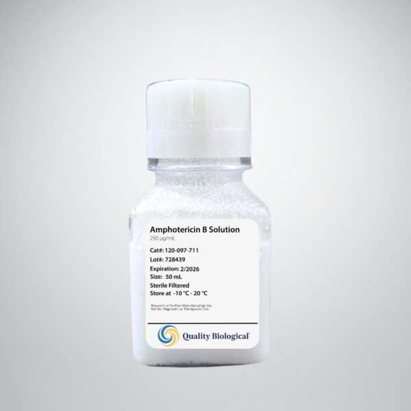 Buy Amphotericin B Solution (250 µg/mL) – Quality Biological